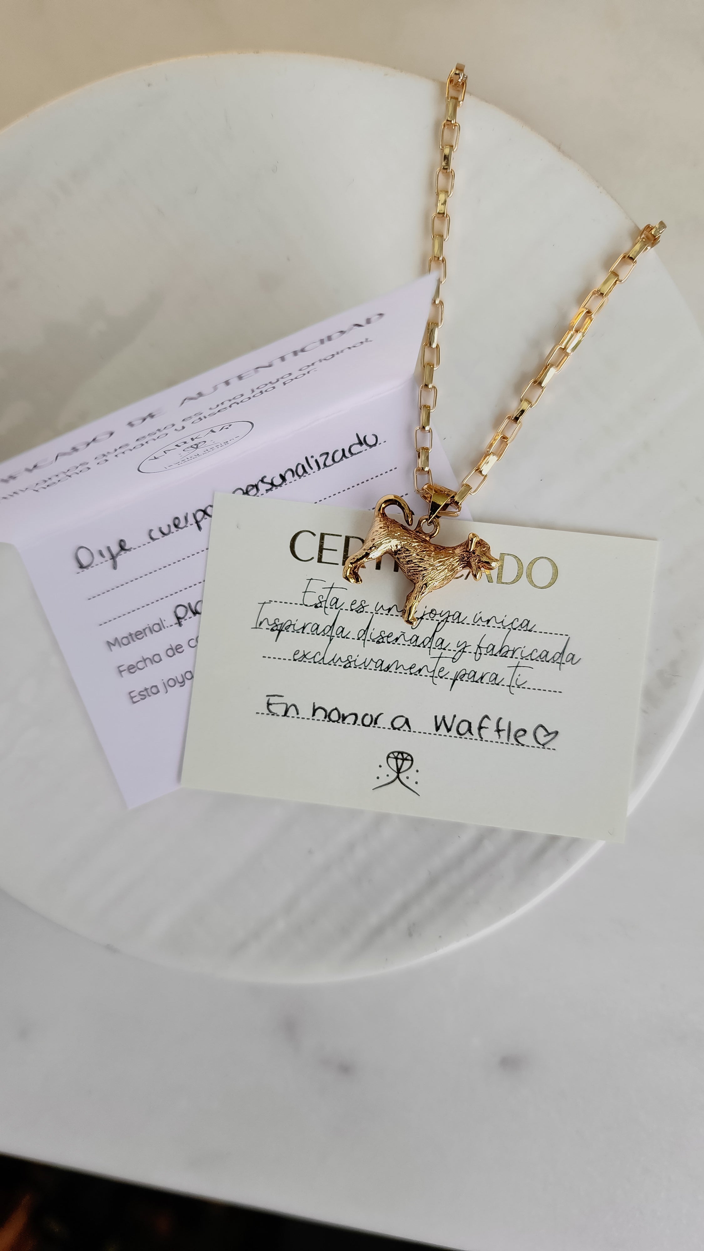 Tu perrito, gatito o animalito cuerpo completo | Personalizados ...
